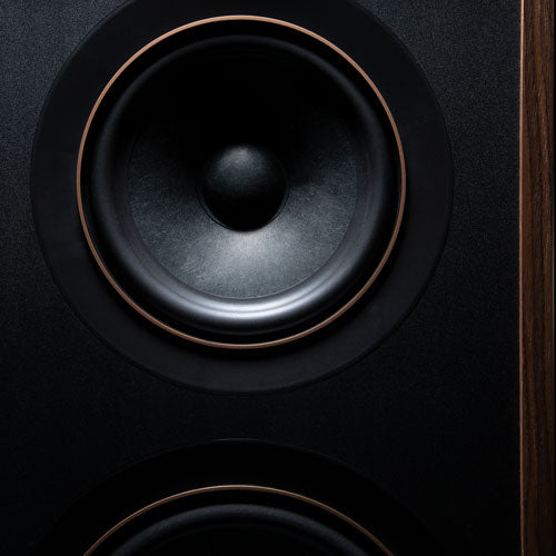 PSB Passif 50 Standmount Anniversary Edition Loudspeaker (Each)