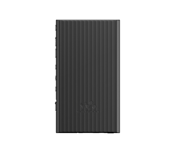 Sony NW-A306 Walkman A Series